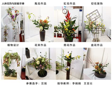 我校学生获全国职业院校技能大赛高职组花艺赛项二等奖 教务处