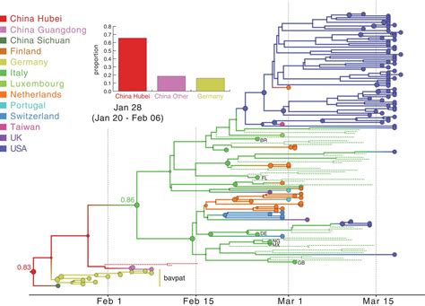 The Emergence Of Sars Cov 2 In Europe And North America Science