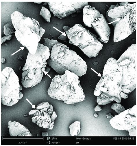 Final Crystal Morphology Of The Api After Conventional Seeded Download Scientific Diagram