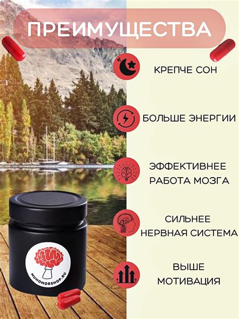 Мухомор красный в капсулах 60шт. купить - МухоморShop