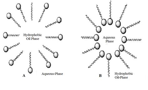 A Micelle And B Reverse Micelle Download Scientific Diagram