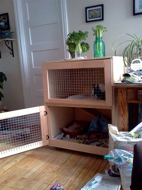 Build An Indoor Rabbit Cage Rabbit Cages Indoor Rabbit Rabbit Hutches