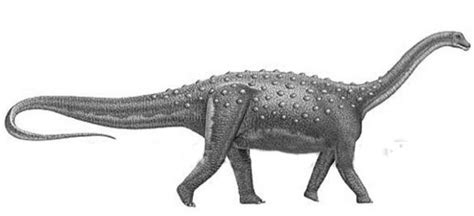 Jingshanosaurusgallery Dinopedia Fandom Powered By Wikia