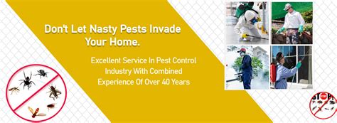 Best Pest Control In Sydney Pest Control Sydney Same Day Service