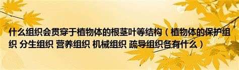 什么组织会贯穿于植物体的根茎叶等结构植物体的保护组织 分生组织 营养组织 机械组织 疏导组织各有什么 草根科学网