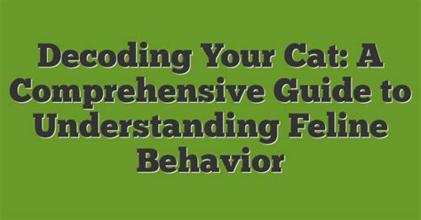 Decoding Your Cat A Comprehensive Guide To Understanding Feline Behavior