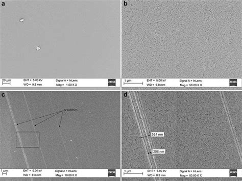 Sem Micrographs Of A And B The Untreated Polystyrene Surface C