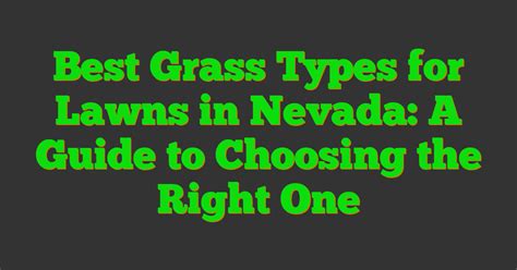 Best Grass Types For Lawns In Nevada A Guide To Choosing The Right One
