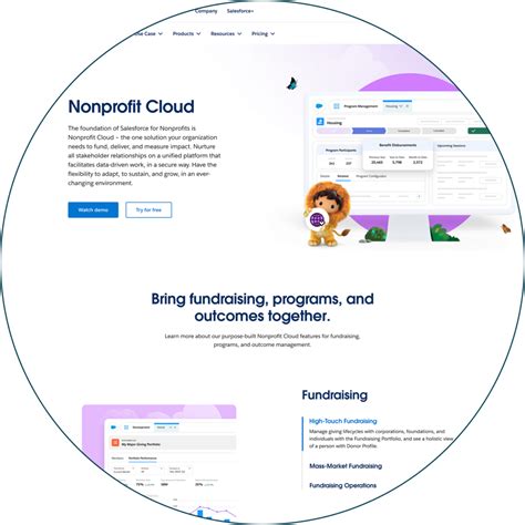 Donorsearch Salesforce Integration Donorsearch Donorsearch Salesforce Integration Donorsearch