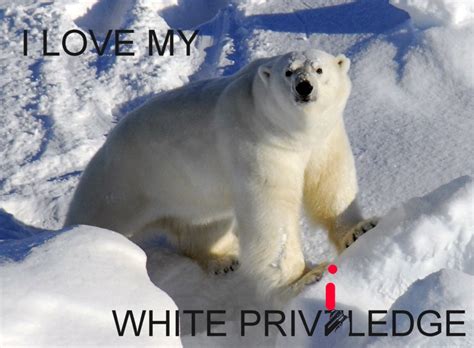 I Love My White Privilege By Kajm On Deviantart