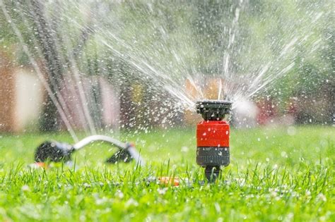 4 Common Sprinkler Head Problems And Easy Fixes Sunrise Irrigation