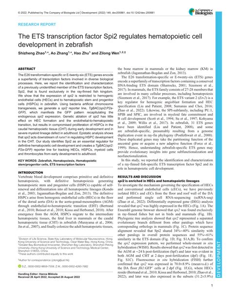 Pdf The Ets Transcription Factor Spi2 Regulates Hematopoietic Cell