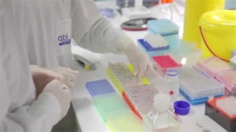 Schizophrenias Genetics Revealed Uq News The University Of