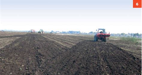 Un Buen Manejo De Labranza Y Compactación Del Suelo Es Clave Para