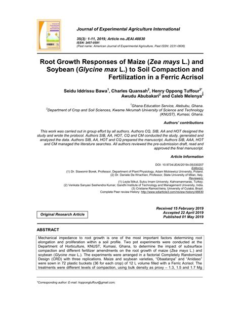 Pdf Root Growth Responses Of Maize Zea Mays L And Soybean Glycine
