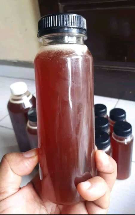 Madu Klanceng Trigona Asli 1kg Madu Hutan Kelulut Madu Klanceng Bambu
