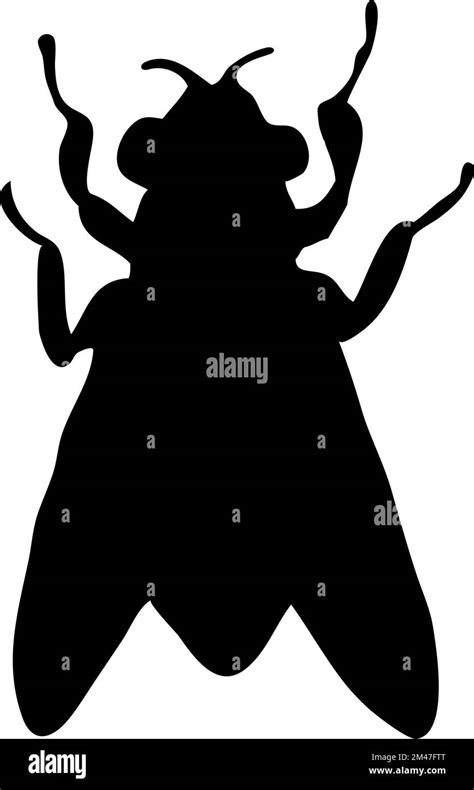 Silhouette Of Fly Fly Close Up Detailed Vector Fly Icon On White