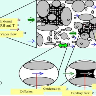 Moisture Flow Through The Wall Download Scientific Diagram