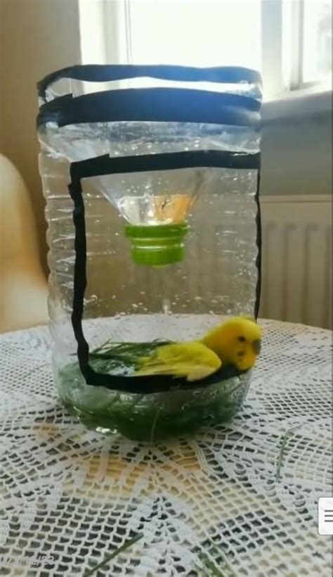 Shower Room Album On Imgur