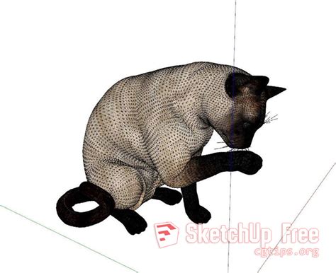 1568 Cat Sketchup Model By Tuan Anh Free Download