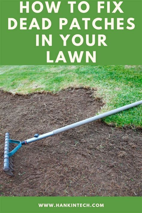 How To Fix Dead Patches In Your Lawn