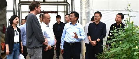 杨正晓率市人大调研组到我县调研花卉产业发展