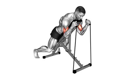 Dumbbell Prone Hammer Curl Video Guide And Tips