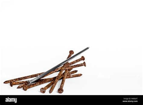 Metal Shiny Sharp Nail In The Center Of A Pile Of Old Rusty Nails On A