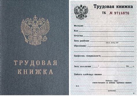 Трудовая книжка бланк и образец в Word что это такое и для чего нужна