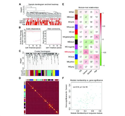 Weighted Gene Coexpression Network Analysis Of The Differentially