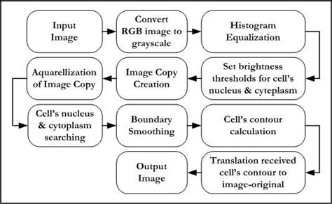 Algorithm Block Diagram Download Scientific Diagram