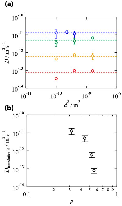 Decoupling Between Translational Diffusion And Viscoelasticity In Transient Networks With