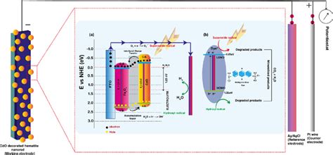 Scheme Representation Of The Cdo Modified α Fe 2 O 3 Photoanode Showing Download Scientific
