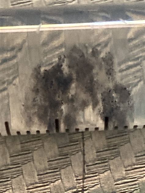 Spore Syringes With White Blobs Mushroom Cultivation Shroomery