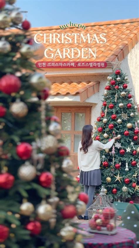 사계절 감성여행 수정 크리스마스 트리로 가득한 로즈스텔라정원 🎄 ️ 따뜻한 봄 수국보러 다녀왔던 곳인데 이제는 크리스마스