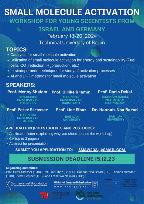  Young Scientists Meeting Small Molecule Activation 
