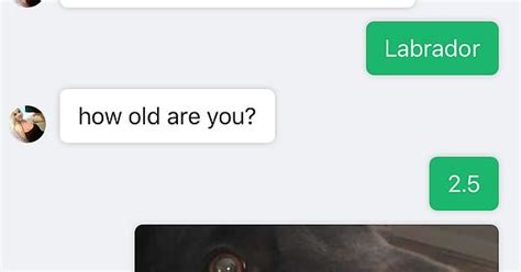 The Sex Bots Are Evolving Album On Imgur