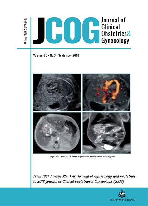 Genital Cosmetic Surgery Beyond The Vulvar Anatomy And Function