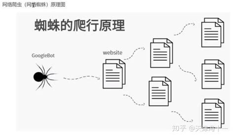 学习Python的第43天我终于走上了研究爬虫的正确道路 知乎 学习Python的第43天我终于走上了研究爬虫的正确道路 知乎