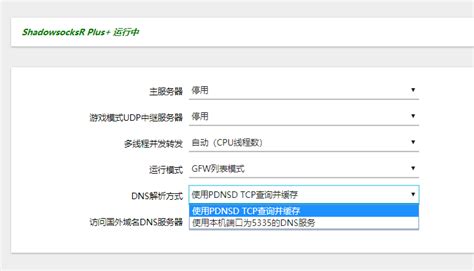 开启 重定向53端口到 Smartdns 导致 Shadowsocksr Plus 失效。 · Issue 118 · Pymumu