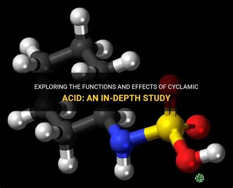 Exploring The Functions And Effects Of Cyclamic Acid An In Depth Study