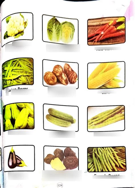 Diagram Of Vegitables 1 Quizlet