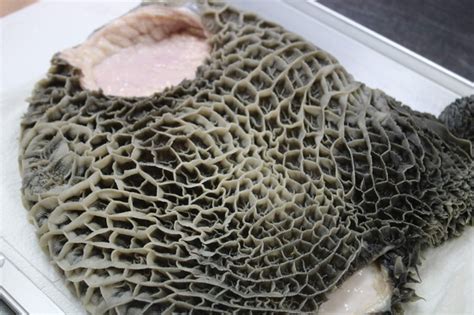 牛の第二胃（ハチノス） ブログ 酢飯屋 文京区水道、江戸川橋にある寿司、カフェ、ギャラリーの複合店