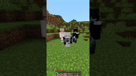 Minecraft Chase Minecraft Videos