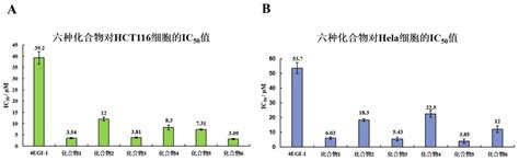 六种噻唑酰腙类化合物在抗肿瘤药物中的应用