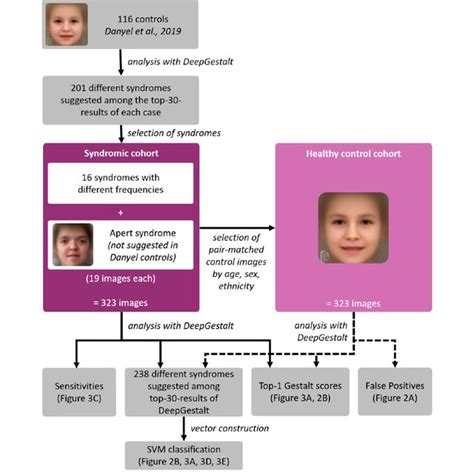 Workflow Of Classification Experiments Download Scientific Diagram