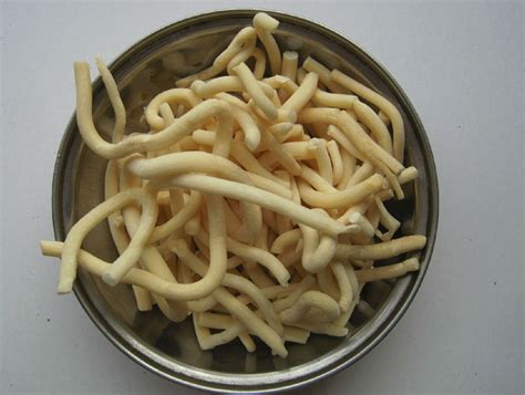 Xiao Tong Cao Tcm Herbs Tcm Wiki