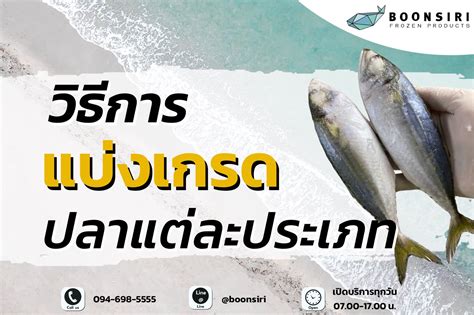 🧫 บุญศิริโฟรเซ่น ปลาทูกู้ชาติ ห้องเย็นจำหน่ายอาหารแช่แข็ง