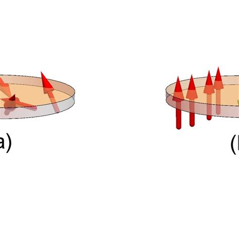 Dilute Magnetic Semiconductor Quantum Dot A Situation Without A