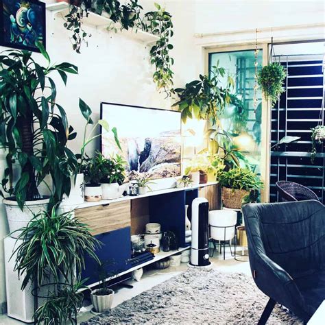 How To Make Your Plants Grow Fast With 7 Tips Renovated